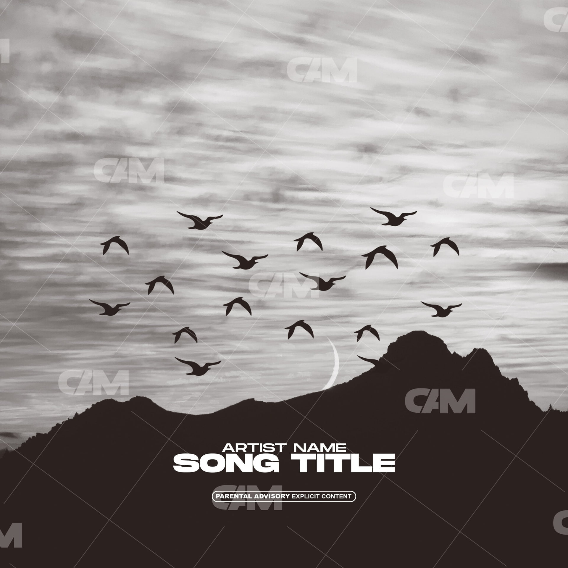 Birds - Cover Art Market