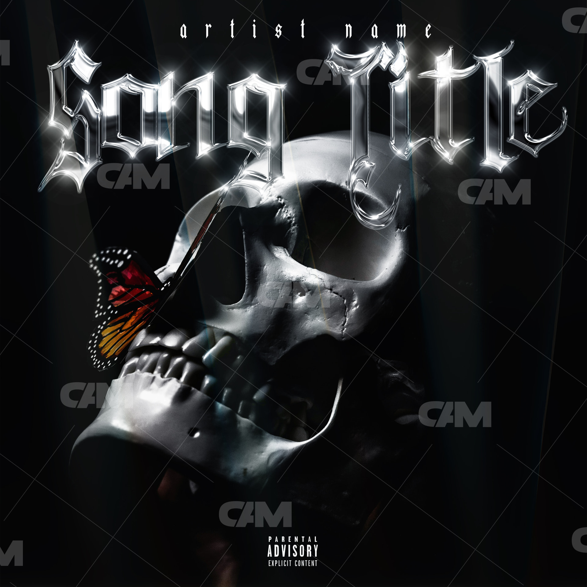 Skull - Cover Art Market