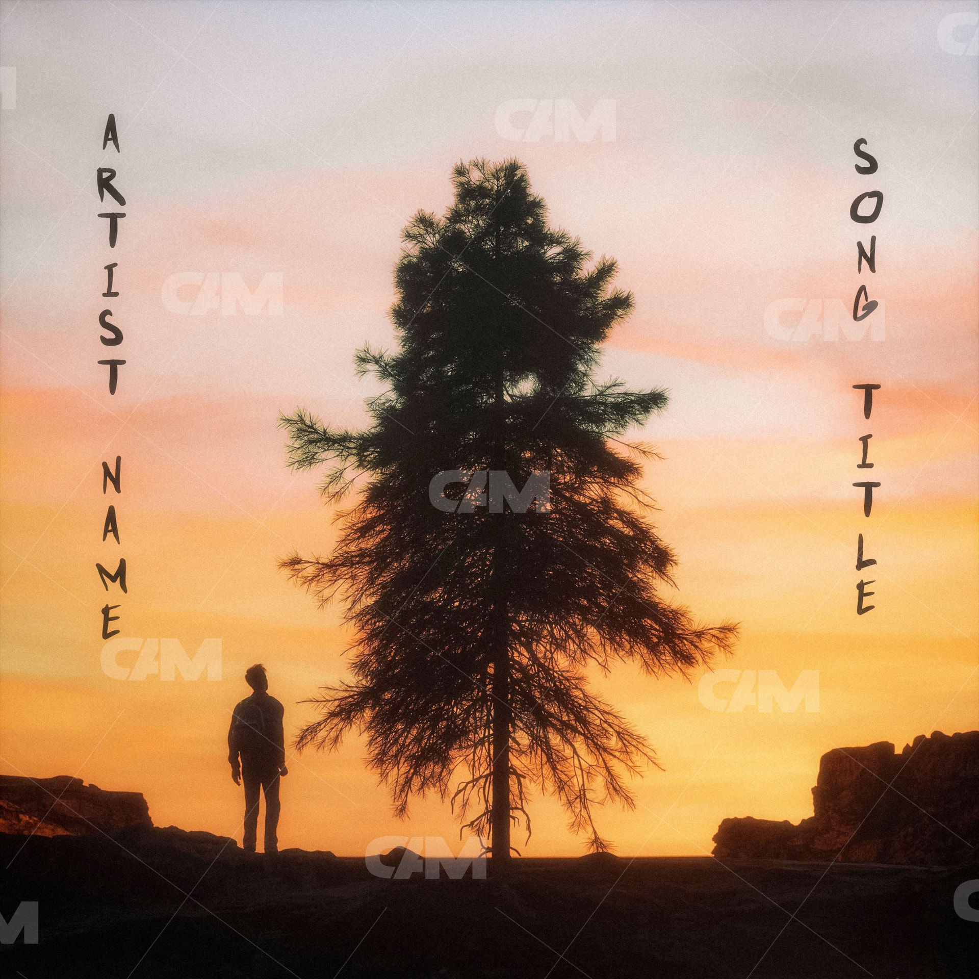 Near Tree - Cover Art Market