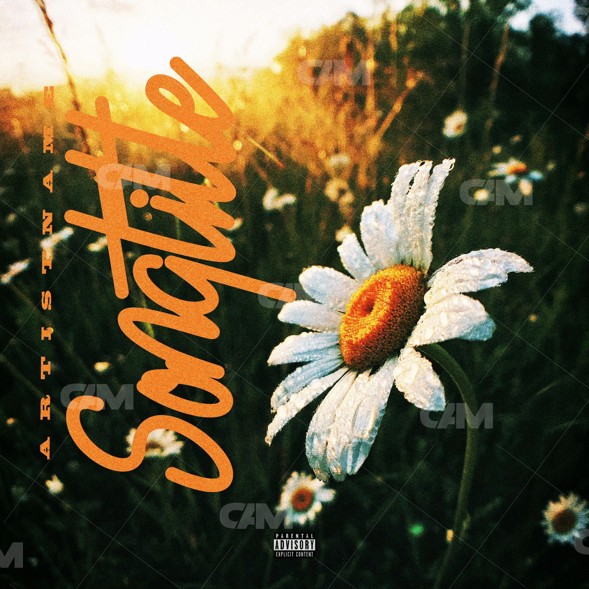 Sunflower - Cover Art Market