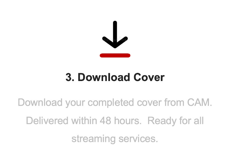 Professional Affordable Cover Art Cover Art Market